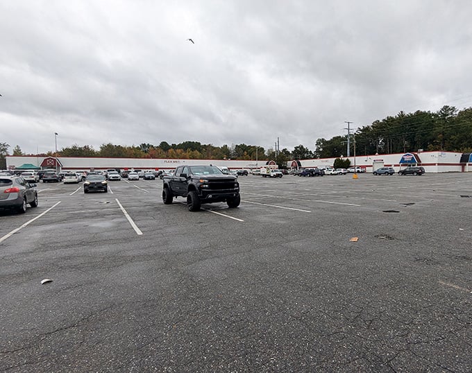 The sprawling parking lot fills early on busy days. Each empty space will soon hold a car filled with hopeful hunters.