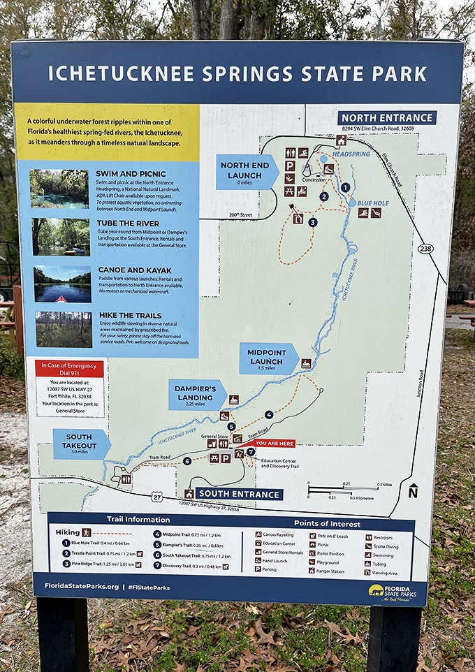 The treasure map to paradise, no pirate required. This information board helps you navigate all the natural wonders Ichetucknee has to offer.