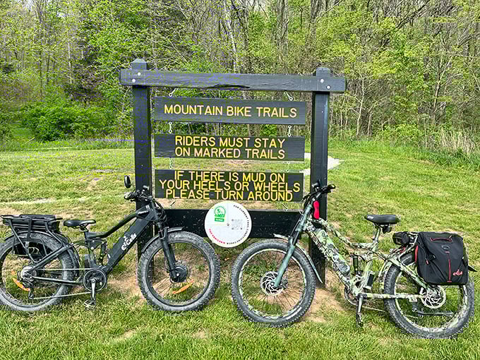 Mountain biking enthusiasts, your muddy paradise awaits with trails that promise both challenge and charm.