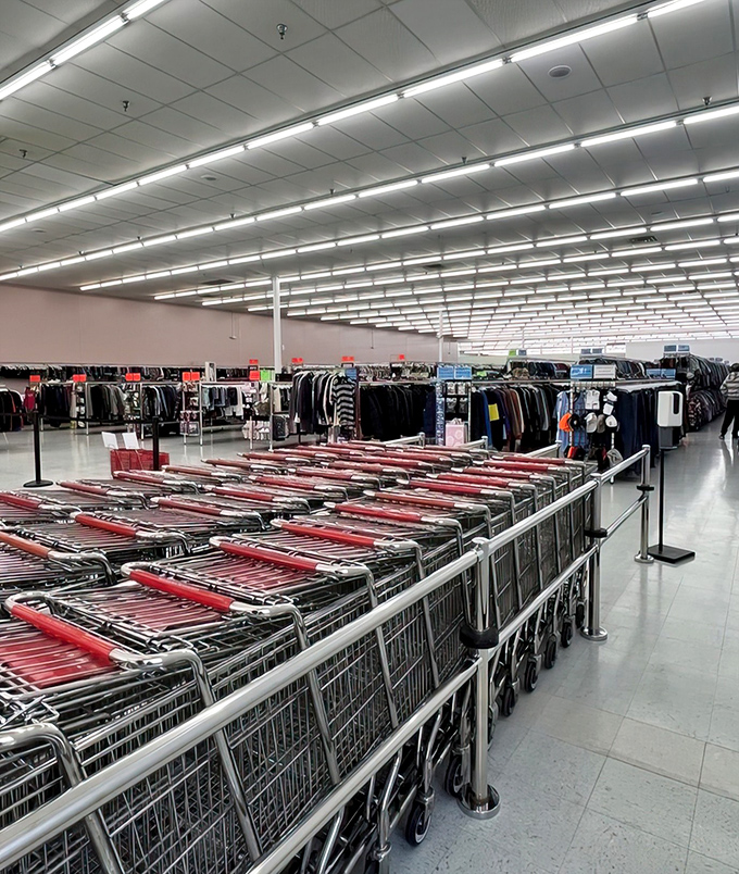 Shopping cart corral standing ready for action&mdash;these metal chariots will soon be filled with treasures that cost less than your morning commute.