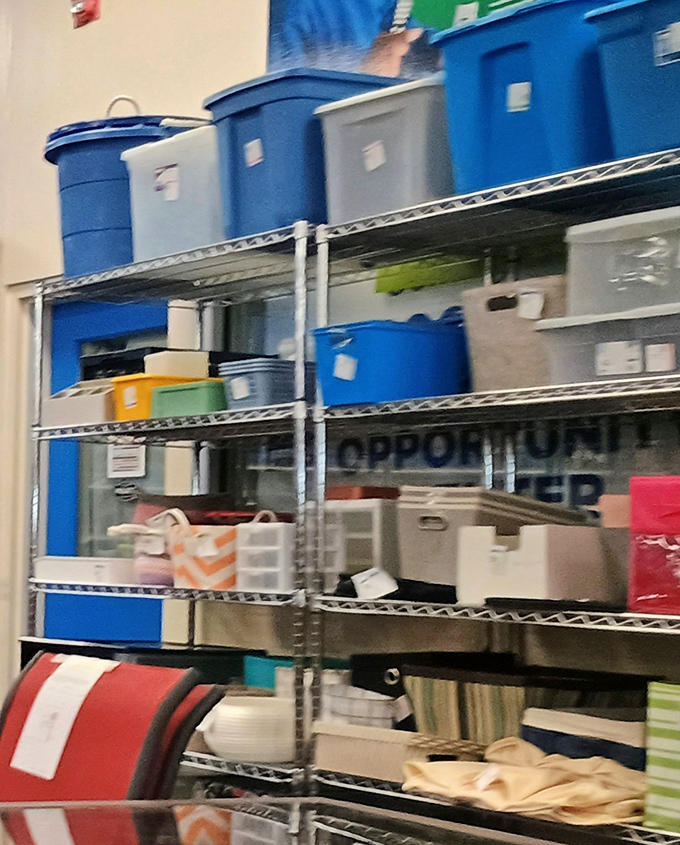 Storage solutions galore! These bins and organizers are ready to bring order to someone's chaotic closet or garage.