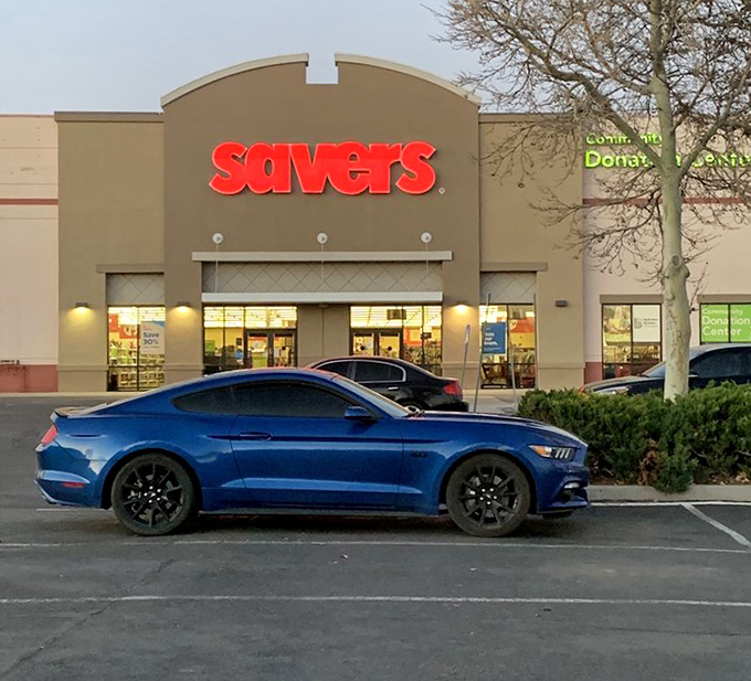 As dusk approaches, the Savers sign glows like a beacon of sustainable shopping, promising adventures that no online retailer can match.