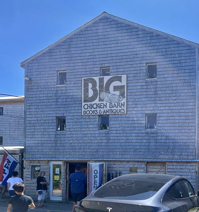 Summer visitors discover what locals have always known – behind these weathered shingles lies a labyrinth of nostalgia worth exploring.