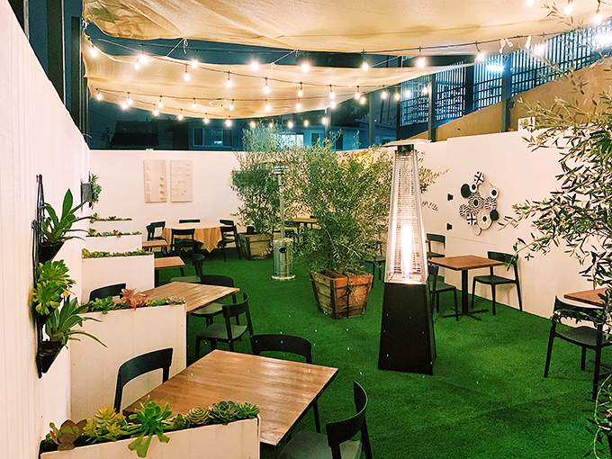 The outdoor patio feels like dining in a secret garden. String lights, heat lamps, and enough greenery to make you forget you're in the city.