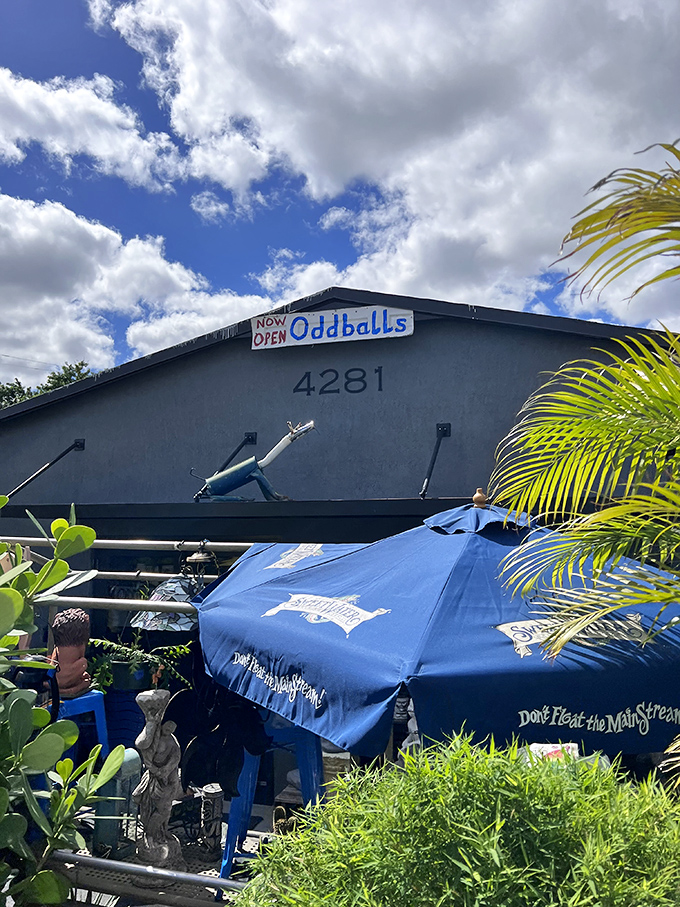 That outdoor umbrella setup means you can browse garden treasures without melting in the Florida sunshine blessing.