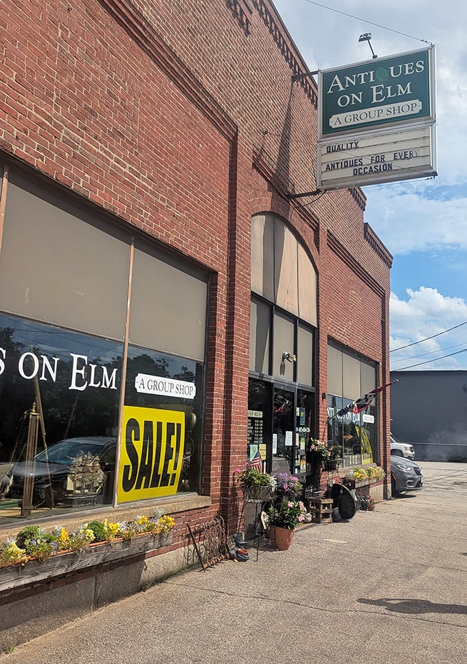 Seasonal flowers frame the entrance like nature's welcome mat. Inside awaits a jungle of collectibles considerably less perishable than these blooms.