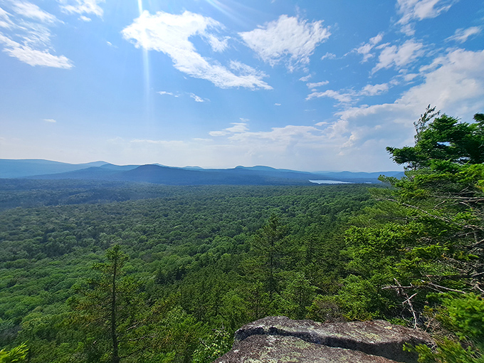 The view that makes smartphone cameras feel inadequate. Miles of undisturbed forest canopy stretch toward distant mountains like a green sea.