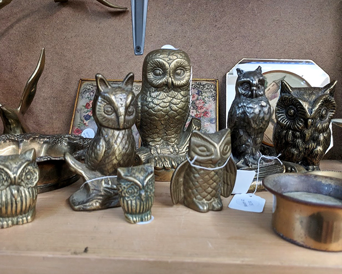 The owl figurine convention is now in session! These brass and ceramic watchers have seen it all—and they're not telling.
