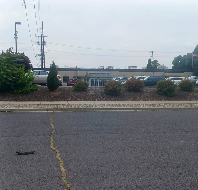 More than just a parking lot&mdash;it's the gateway to possibility, where empty trunks arrive and depart filled with affordable treasures and sustainable choices.