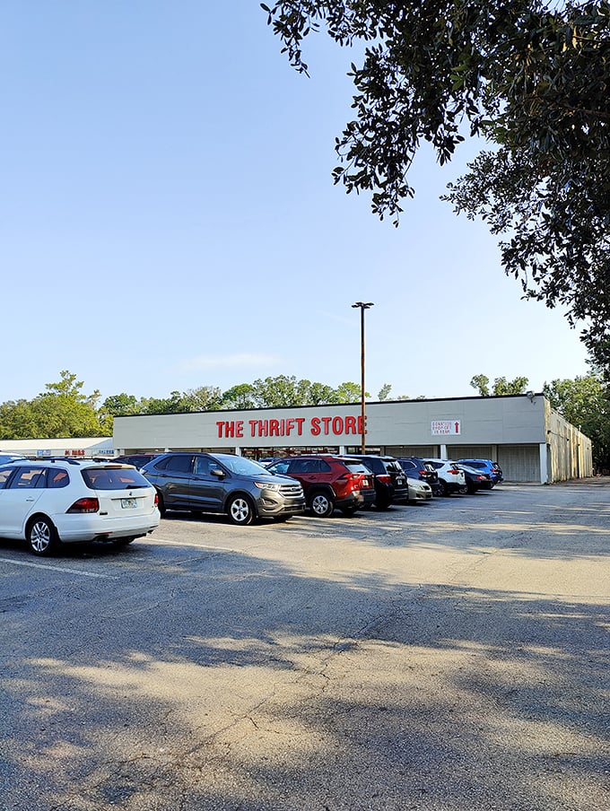 Thrift store parking lots: where luxury SUVs park alongside practical sedans, united by their drivers' shared quest for the perfect secondhand score.