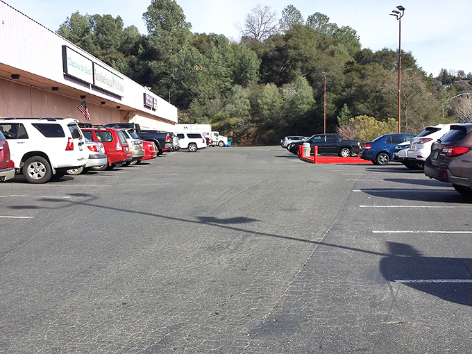 A packed parking lot tells the true story&mdash;this isn't just shopping, it's a destination. Come early if you want the prime spots!