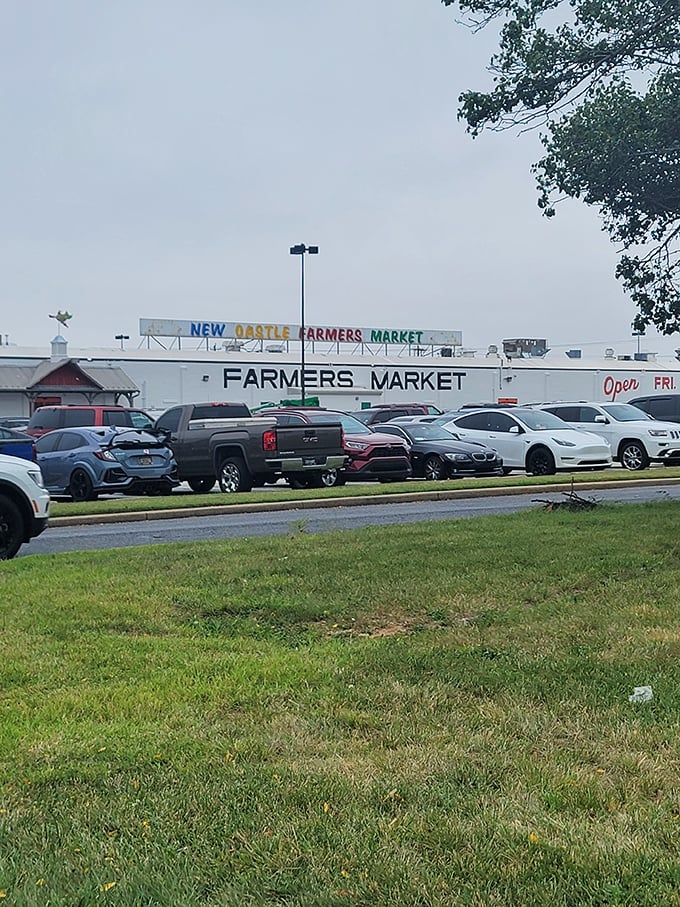Cars fill the lot as shoppers flock to this Delaware institution &ndash; a testament to its enduring appeal.
