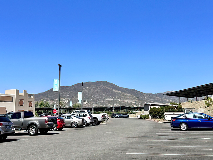 Even the parking lot offers mountain views, because at Viejas, they understand shopping is better with scenery that doesn't involve fluorescent lighting.