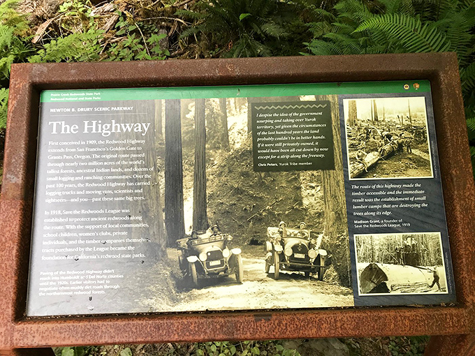 From logging route to national treasure &ndash; this parkway's history is a rare environmental success story that makes you proud to be human.