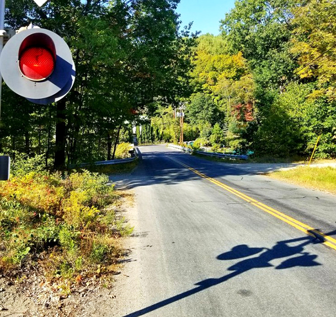 Vermont's country roads don't just take you somewhere; they remind you that sometimes the journey actually is the destination.