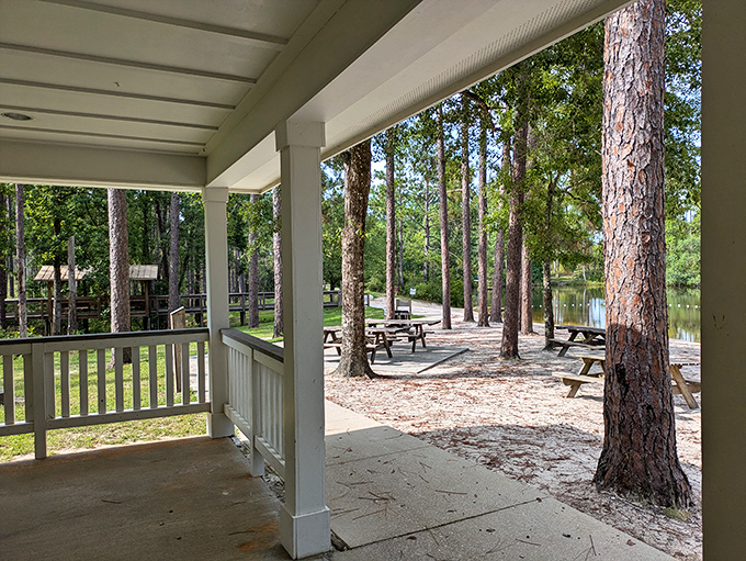 Picnic tables nestled among pines offer the perfect setting for sandwiches that somehow taste better when eaten beneath a canopy of trees.