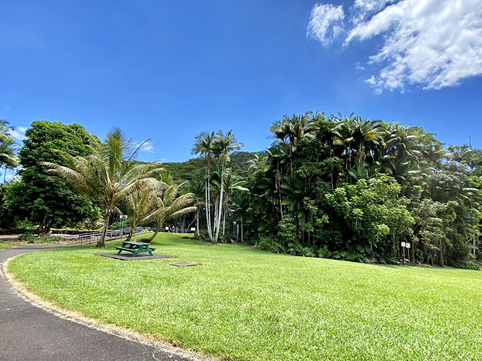 A peaceful picnic area invites visitors to linger longer. Why rush away when you can enjoy lunch surrounded by this tropical paradise?