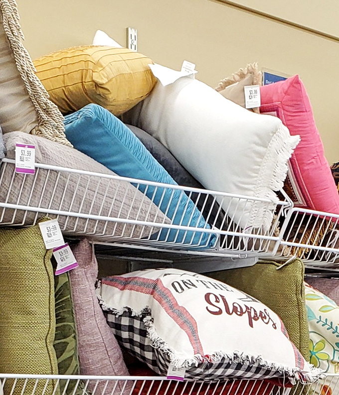 Pillows in every shade of the decor rainbow pile together like sleepy puppies, each one promising to transform your couch for less than a takeout dinner.