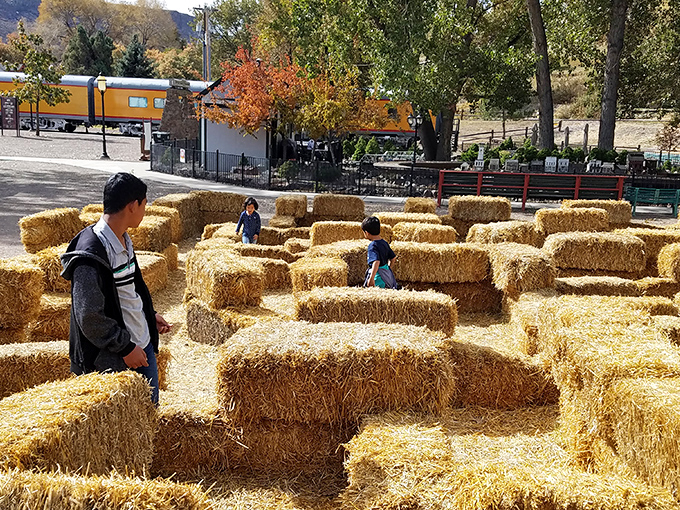 A hay maze provides locomotive-sized fun for the youngest visitors, proving this museum understands that history is best learned through play.