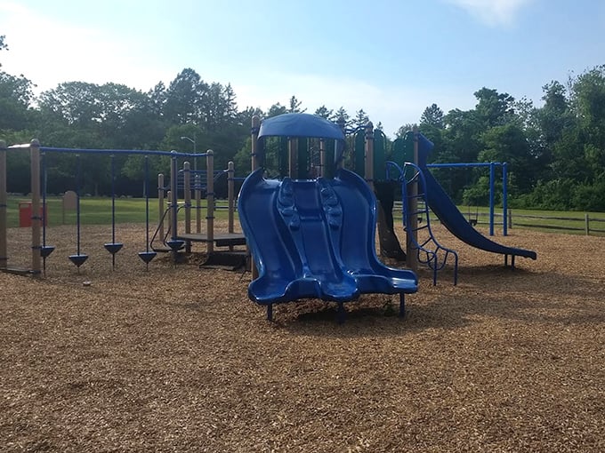Playground paradise where kids burn energy while parents silently thank the park planners. Those blue slides have launched thousands of childhood memories.