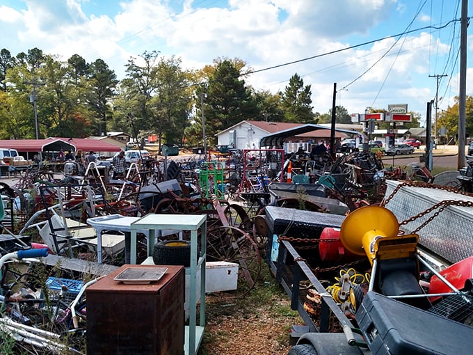 A treasure hunter's paradise at Hilltop Flea Market, where rusty gold and forgotten treasures await those willing to dig deep.