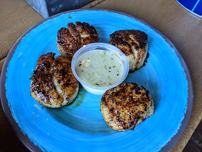 Perfectly seared scallops with a side of herbed butter &ndash; ocean candy that proves sometimes the simplest preparations yield the most profound flavors.