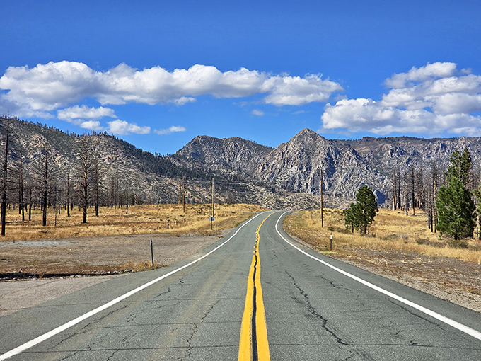 Roads like this make you understand why convertibles were invented. Retirement goal: drive this road whenever you want.