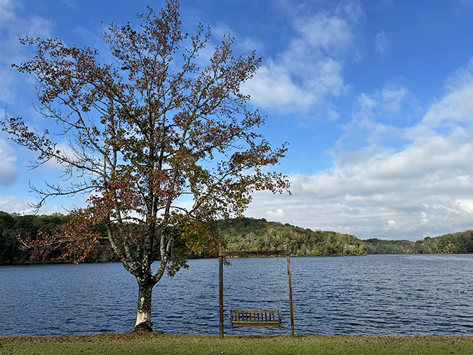 Where contemplation meets recreation. This lakeside swing invites you to pause, breathe, and remember why Alabama's natural beauty deserves your undivided attention.