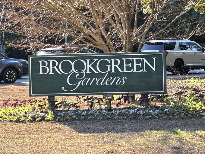 The sign says Brookgreen Gardens, but it might as well read "Paradise Found" for South Carolina's most magical botanical escape.