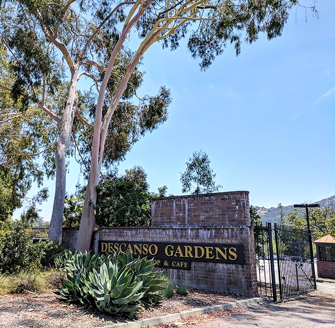 The entrance sign welcomes visitors with understated elegance. Behind these gates lies a world where nature and human creativity dance together.