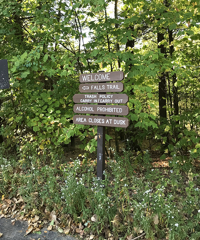 Nature's rulebook stands guard: The "carry in/carry out" policy ensures this slice of paradise stays pristine for the next wave of waterfall chasers.