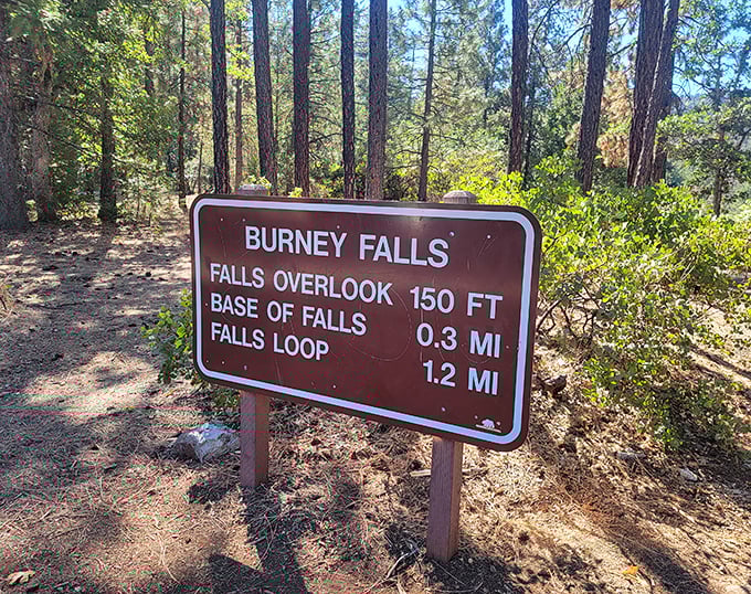 Trail signs keep hikers on track, though getting "lost" here would hardly be a hardship. Just 0.3 miles to nature's greatest show!