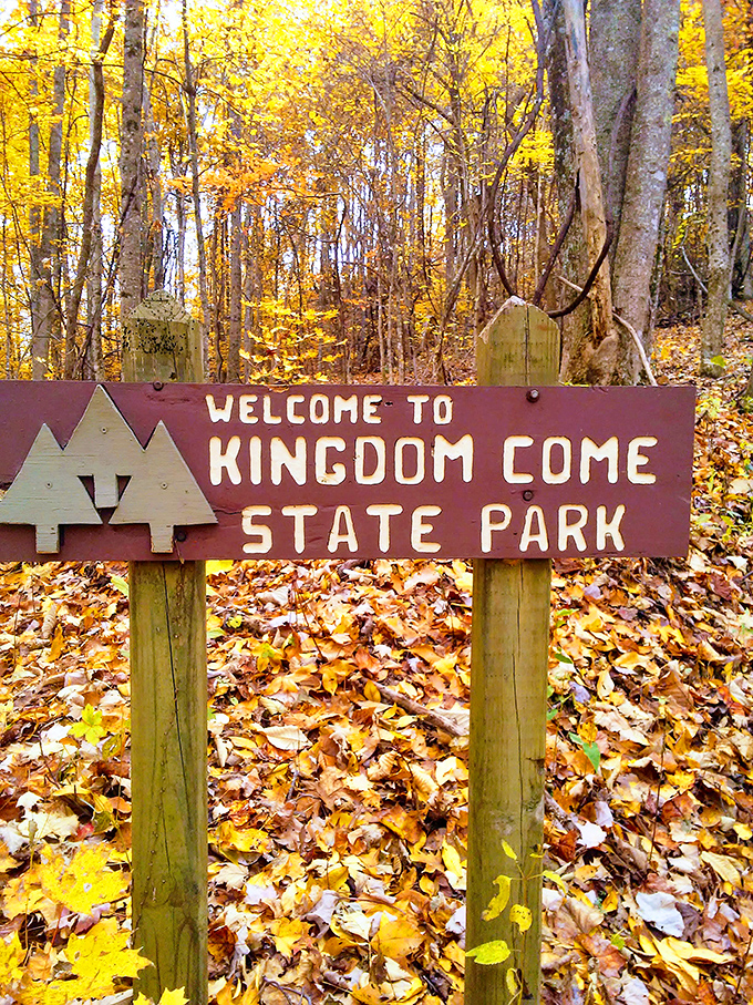 Welcome to the kingdom! This charming sign, surrounded by nature's golden confetti, marks the threshold between ordinary life and Appalachian magic. 