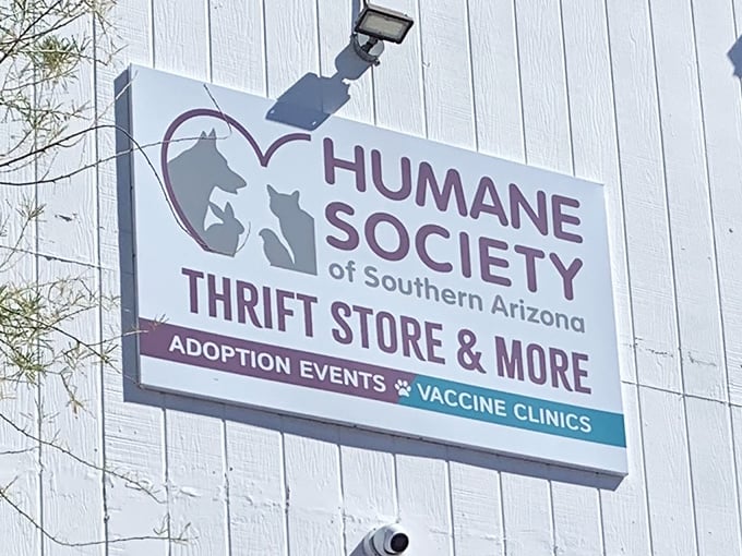 The sign says "thrift store," but the heart says "rescue mission." Every purchase here helps fund the important work of finding homes for Arizona's furry friends.