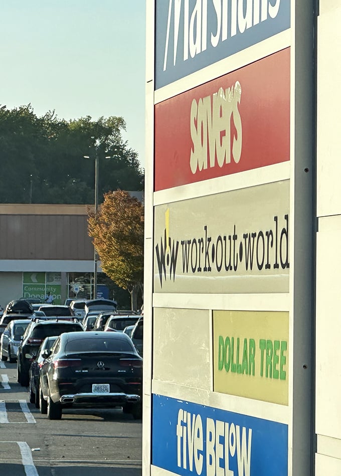 Strip mall royalty: Savers holds court among retail neighbors, promising the thrill of the hunt that big-box stores can't deliver.