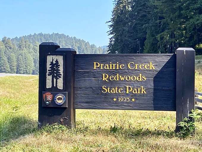 The park entrance sign promises adventures that have awaited since 1925. Behind this wooden herald lies a world unchanged by time.