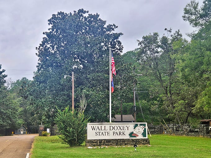 The official welcome sign, where countless Mississippi adventures have officially begun. First-timers become regulars after just one visit to this woodland paradise.