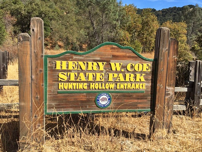 The gateway to adventure announces itself with no-nonsense charm. Your wilderness experience begins at this wooden signpost.