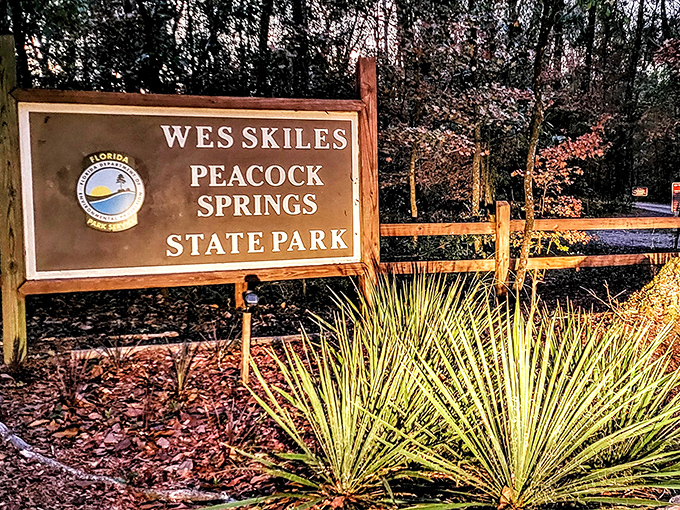 The gateway to underwater wonders awaits. This unassuming entrance sign marks the threshold to one of Florida's most spectacular natural treasures.