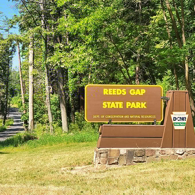 The sign that promises adventure: where the ordinary world ends and your personal wilderness discovery begins, no crowds required.