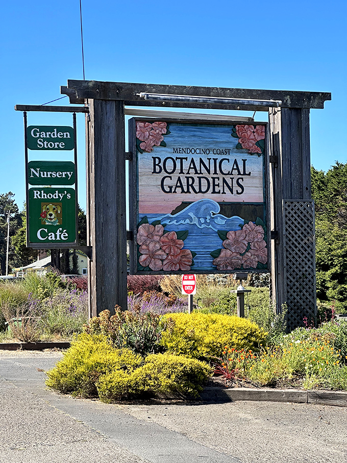 Welcome signs at the garden entrance &ndash; your official invitation to leave stress in the parking lot.