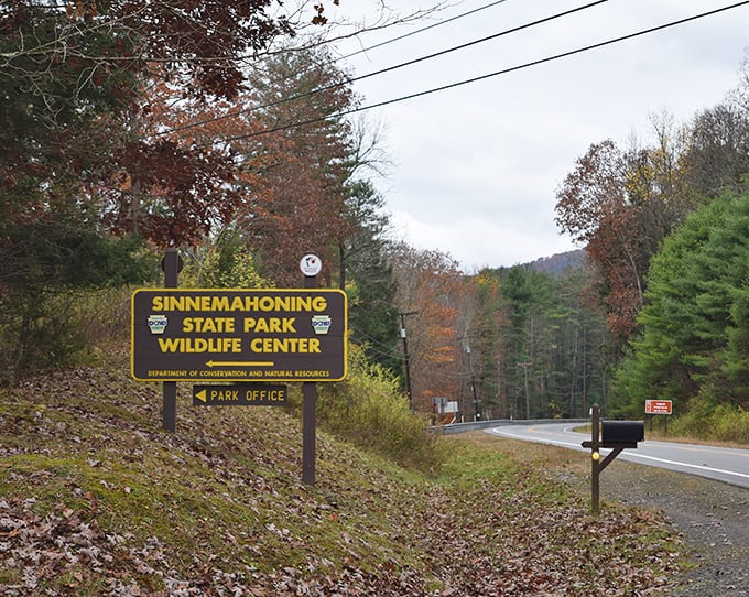 The sign that signals your real vacation is about to begin, where wildlife sightings replace meeting notifications and forest paths replace office corridors.