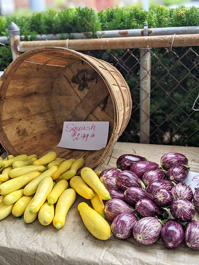 Summer squash and eggplants lounging together like old friends at a pool party, waiting to be invited to your dinner table.