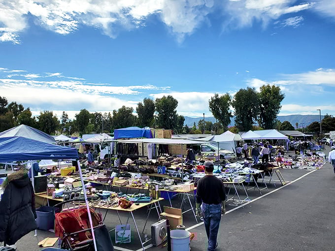 Flea market panorama under perfect California skies. A sea of potential treasures stretching to the horizon, each table its own island of possibility.