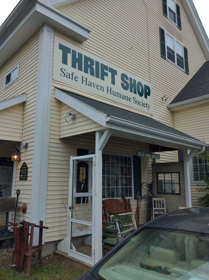 The sign says "Thrift Shop" but it should read "Treasure Emporium." Your wallet and the animals will thank you.