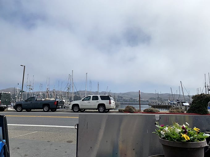 The misty Bodega Bay backdrop completes the coastal dining experience. That fog isn't just atmosphere &ndash; it's nature's air conditioning for your alfresco feast.