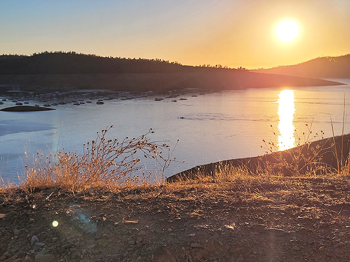 Golden hour at Lake Oroville turns the water into molten copper, the kind of sunset that makes you forgive Monday mornings.
