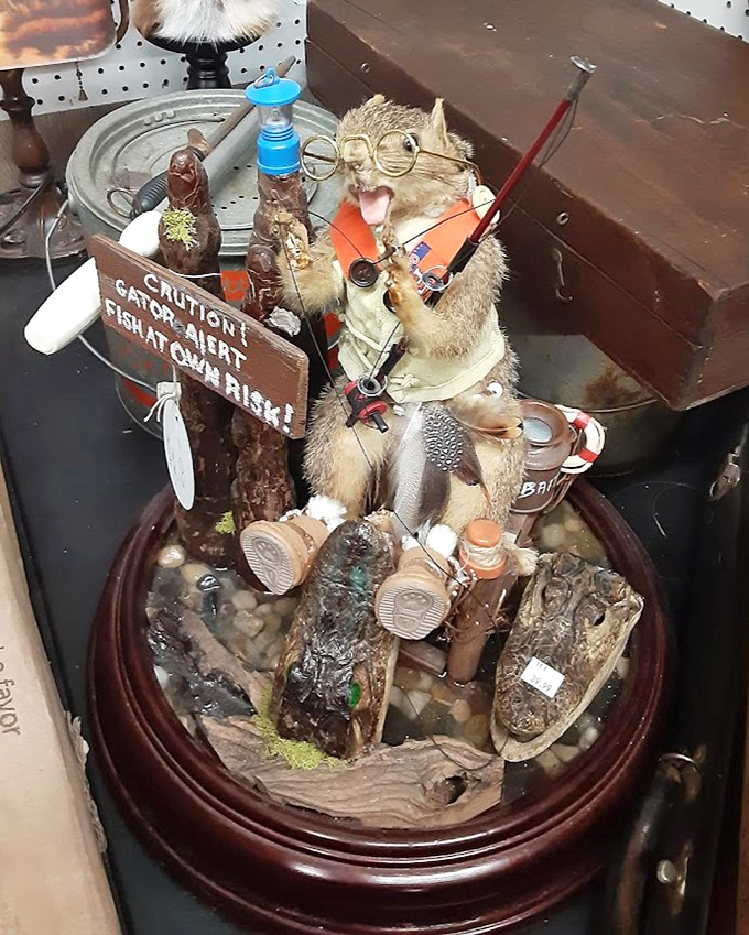 The taxidermy that time forgot! This fishing squirrel diorama proves that quirky humor existed long before internet memes.