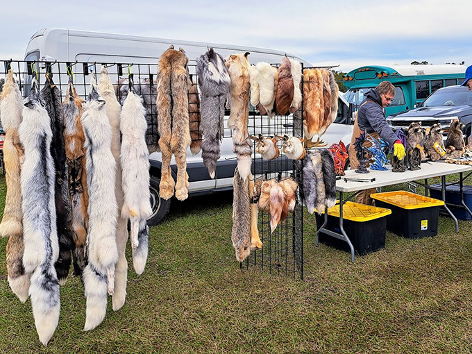 The more unusual side of Webster's offerings&mdash;these pelts and taxidermy items remind us that one person's "absolutely not" is another's "perfect for my cabin."