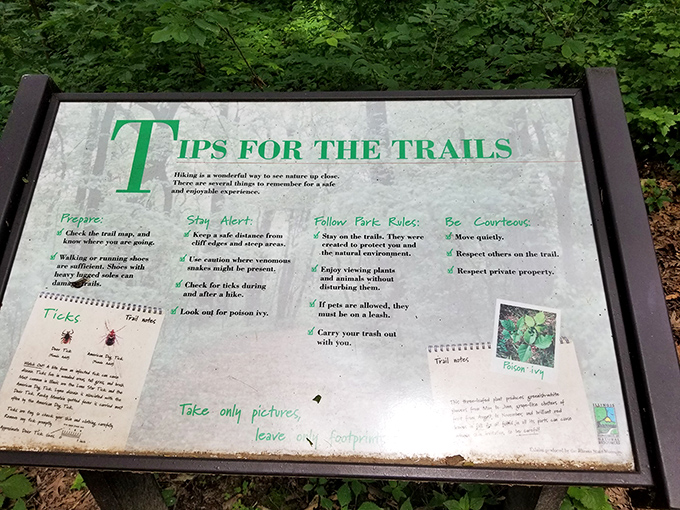Trail etiquette spelled out for nature newbies. The "take only pictures, leave only footprints" philosophy that keeps wilderness wild.